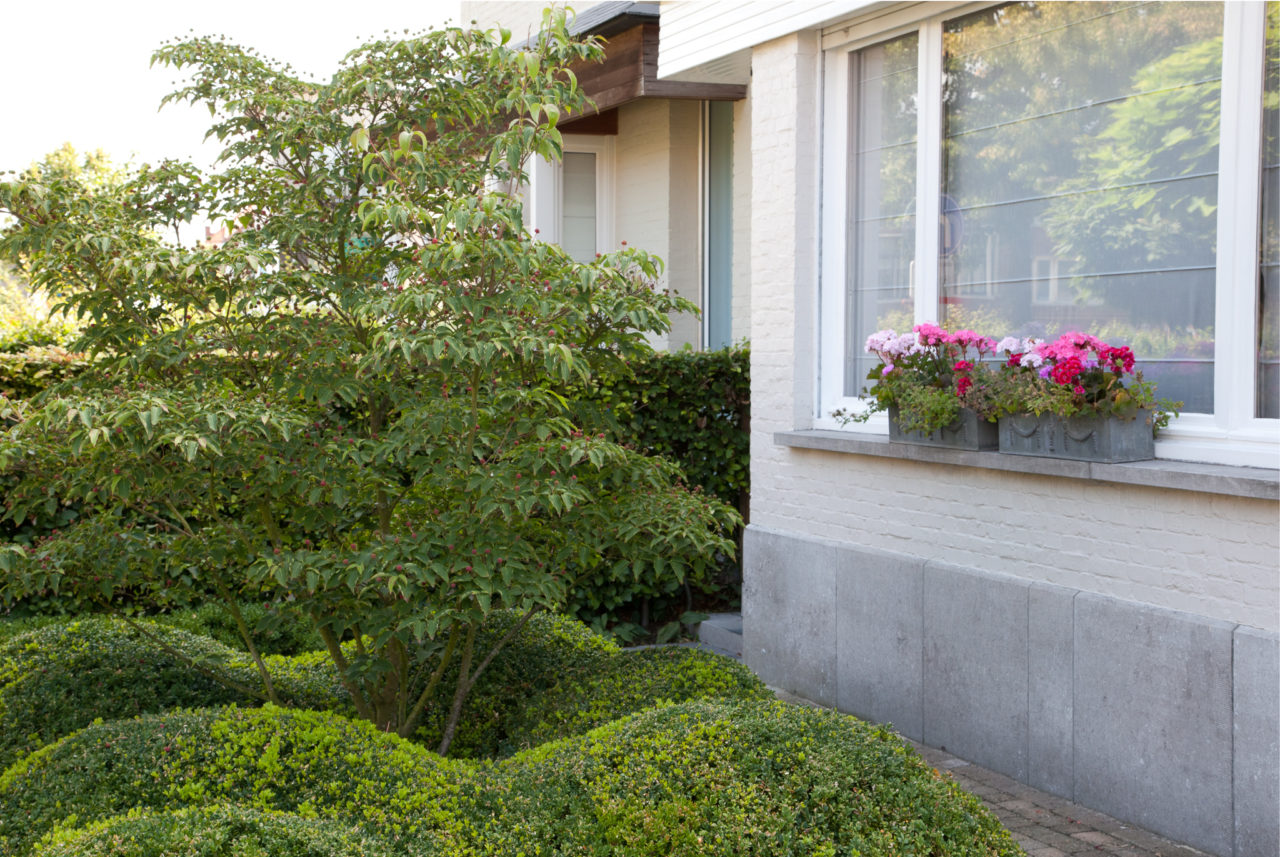 Gestructureerde voortuin met golvende struiken in Edegem - New Alpha Green