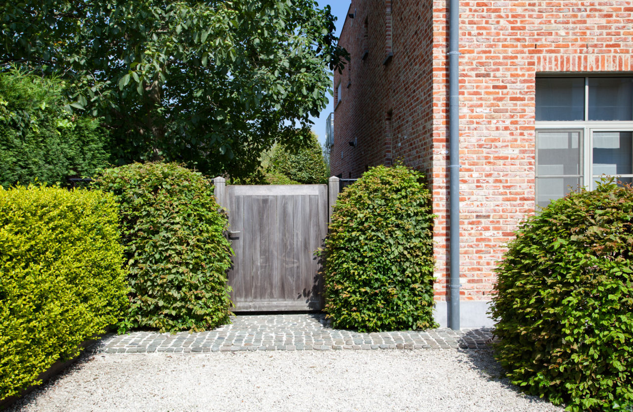 Voortuin met struiken Wilrijk - New Alpha Green