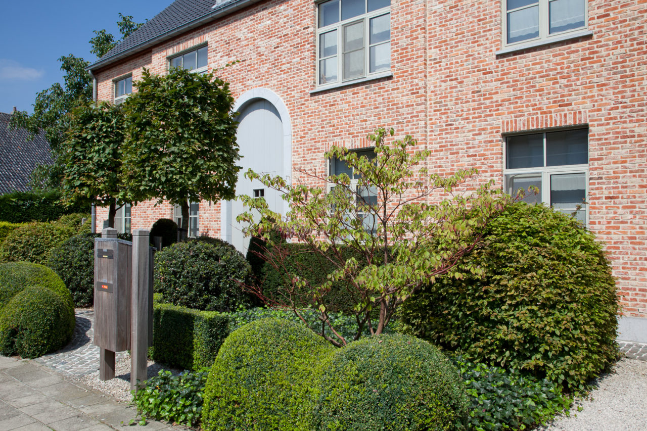 Voortuin met struiken Wilrijk - New Alpha Green